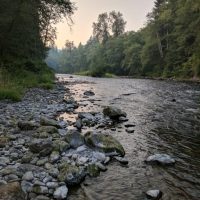 Blog – Amanda D. Alvis, Ph.D.