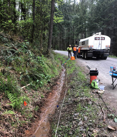 Research – Amanda D. Alvis, Ph.D.